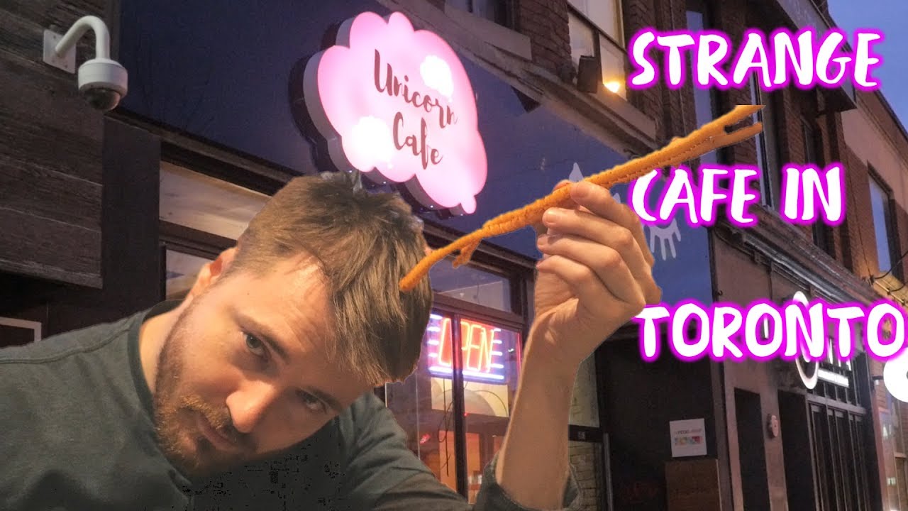 Toronto's Most Bizarre Cafe - The Unicorn Cafe - YouTube