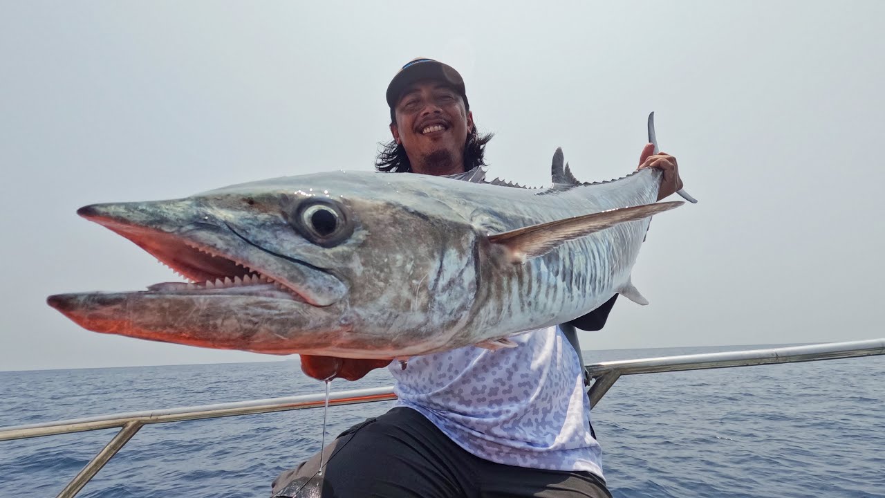 Tenggiri Gorgon - YouTube