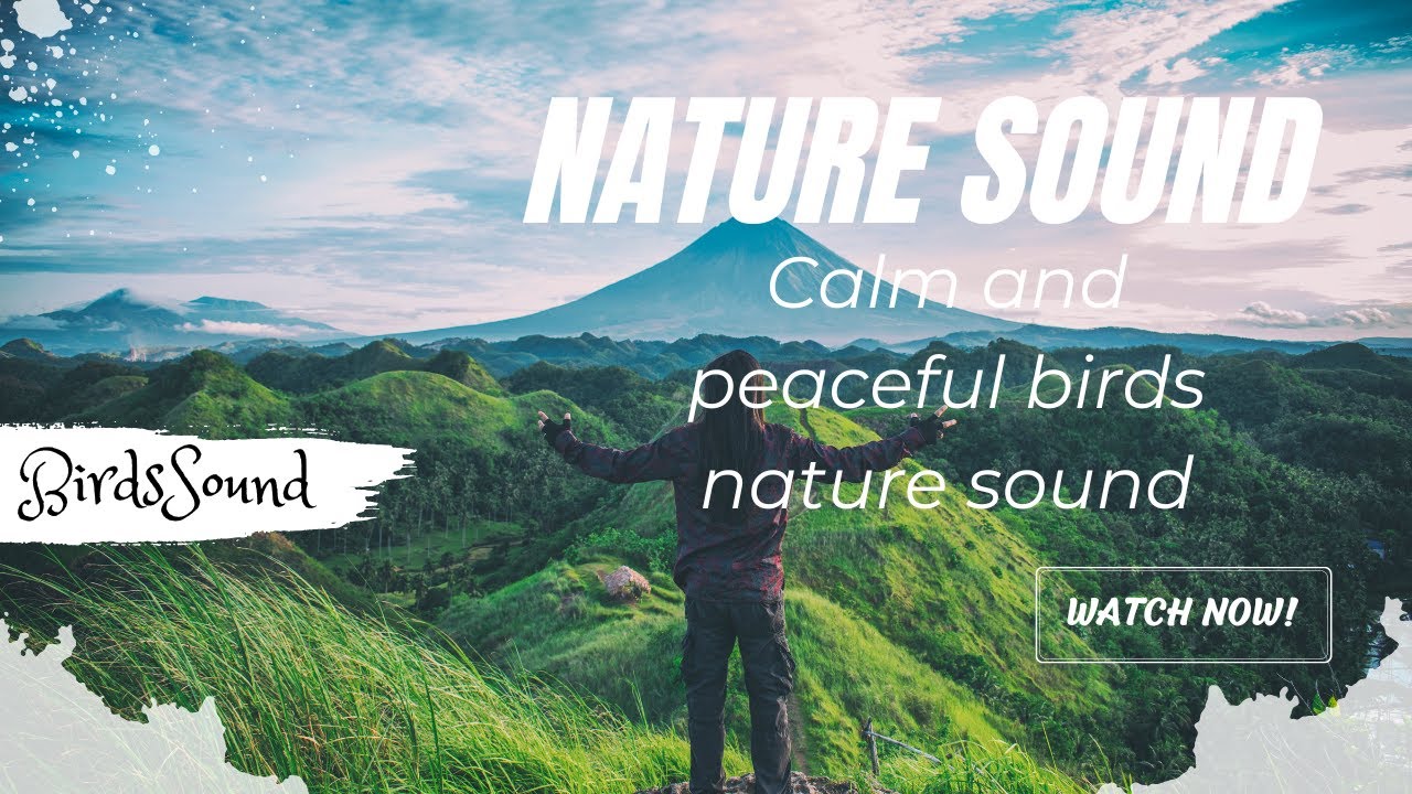 Birds Nature Sound | Nature sound | Mind Relaxation sound | Peaceful ...