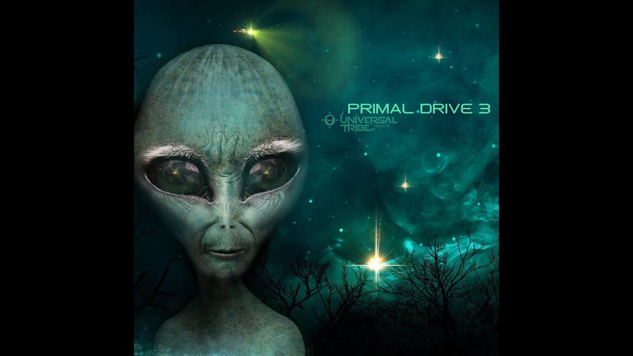 Eukali - Fireflies - YouTube