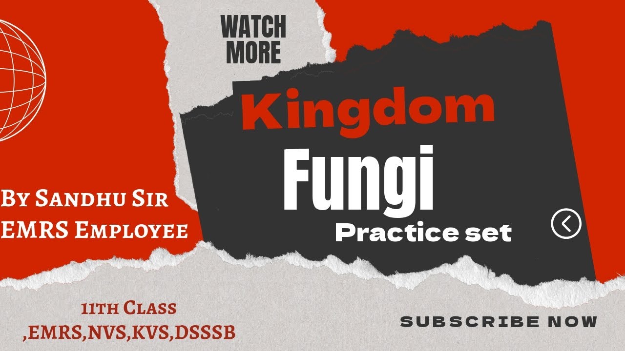 Kingdom Fungi Practice set Mcq's - YouTube