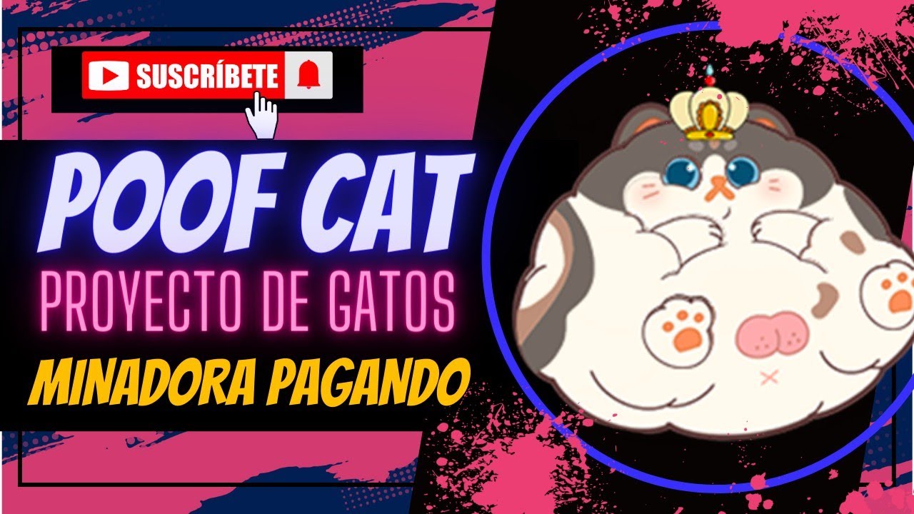 🤑POOF CAT PET 🤑 PROYECTO DE MINERIA DIVERTIDO Y PAGANDO ️ GANAS DINERO ...