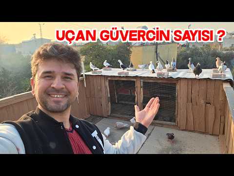 Kanadını Açtığım Tüm Güvercinleri uçuruyorum
