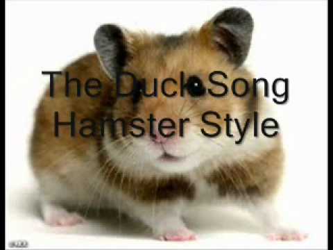 The Duck Song Hamster Style - YouTube