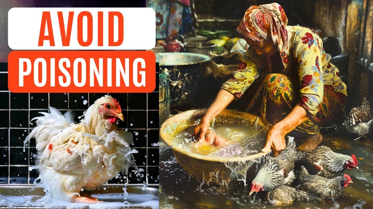 Chicken Danger: 99% of People Make This Mistake! (Avoid Food Poisoning ...