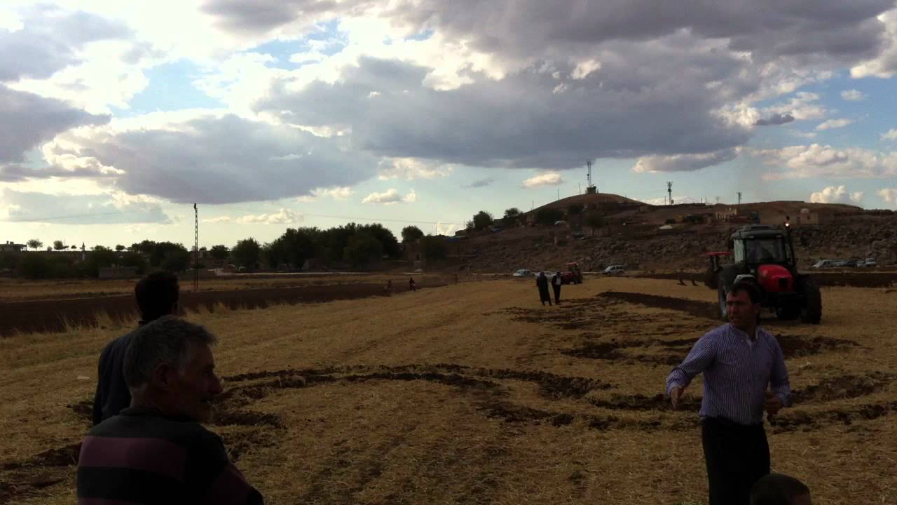 same argon 65 kuskullu şanlıurfa - YouTube