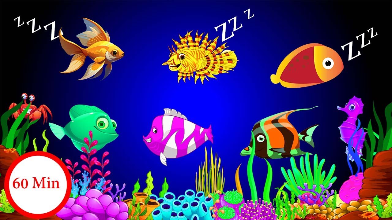 Underwater Fish Aquarium🐡🐟🐠 Bedtime Lullaby Undersea Fish Animation🐡🐟 ...