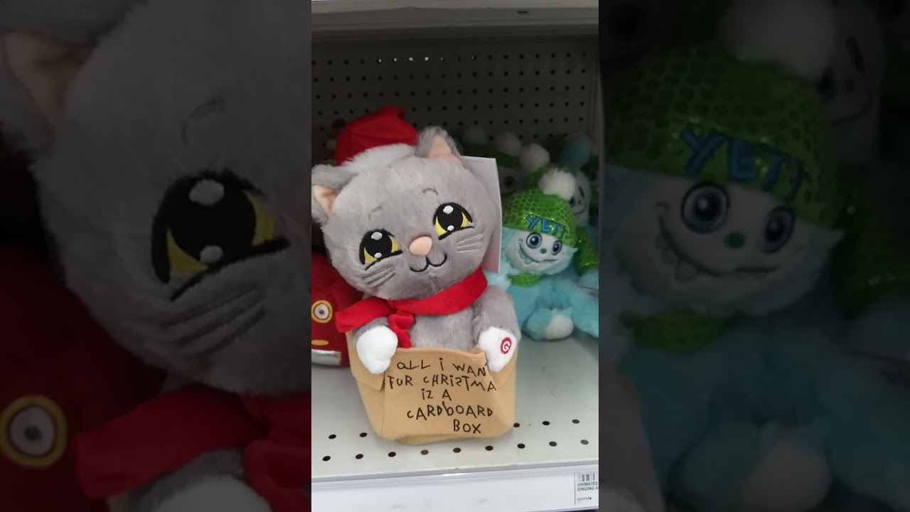 gemmy cat in cardboard box - YouTube