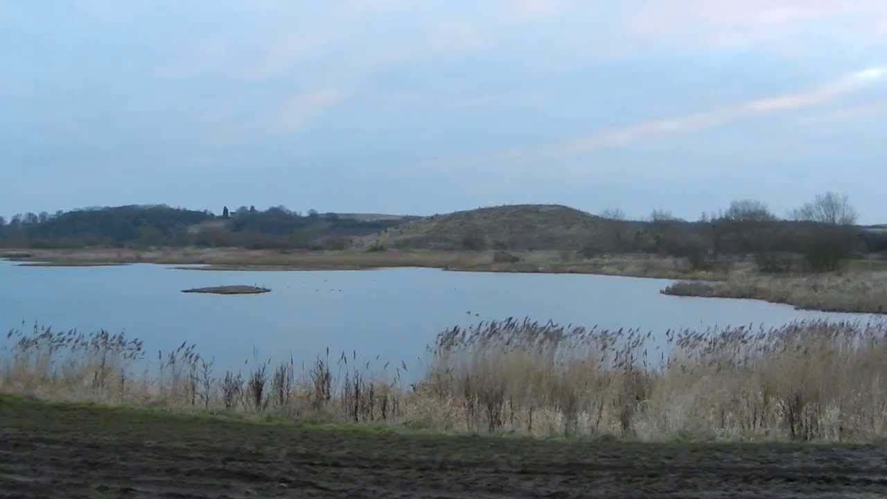 Middleton Lakes Nature Reserve - RSPB- February Dawn - YouTube
