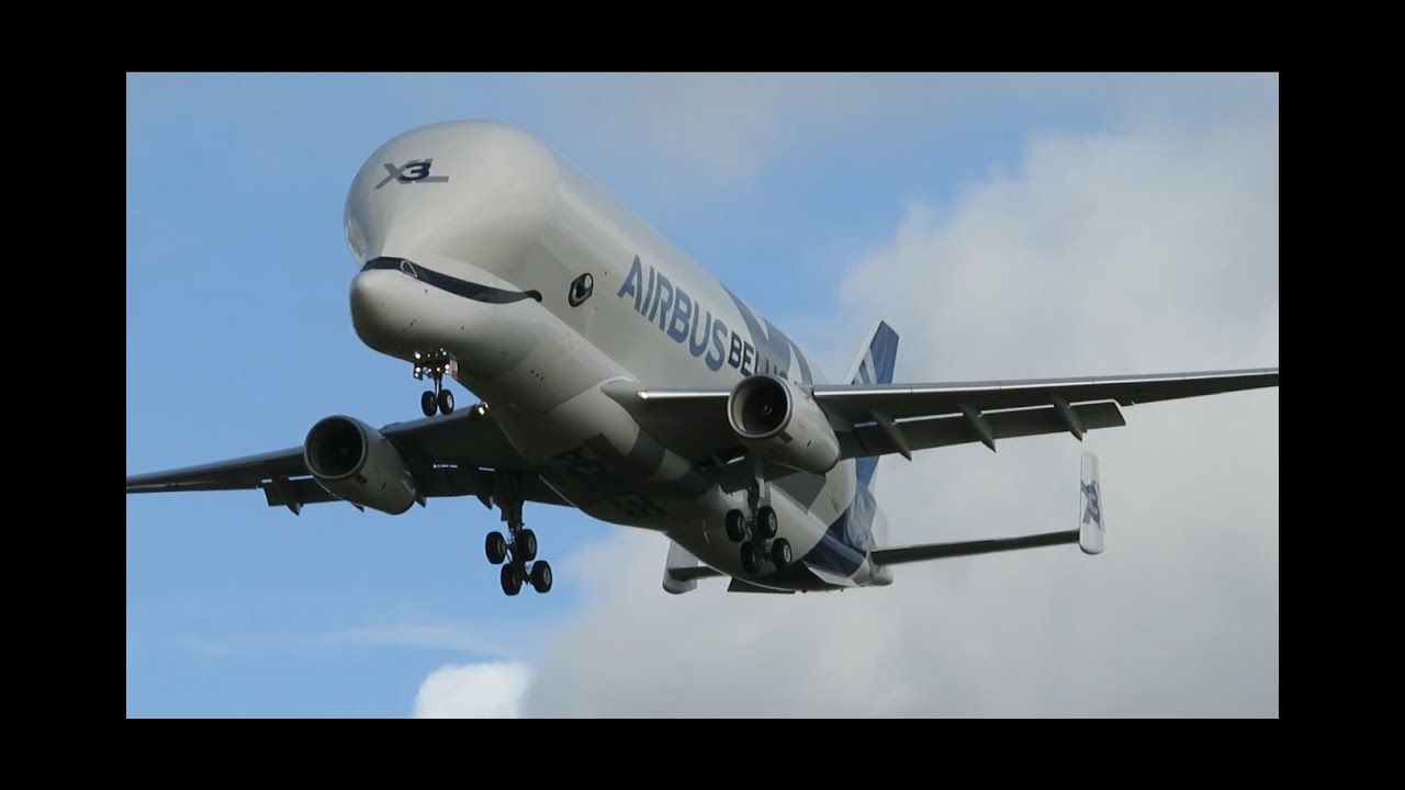 Beluga XL3 First Ever landing at airbus Broughton 26 October 2020 [With ...