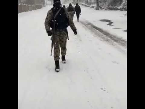 Daxili qosun DQ herbicisi