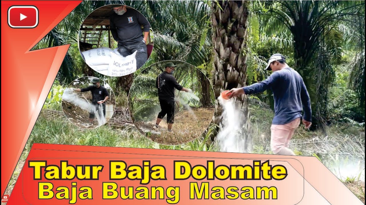 Tabur Baja Dolomite, Baja Buang Masam.... - YouTube