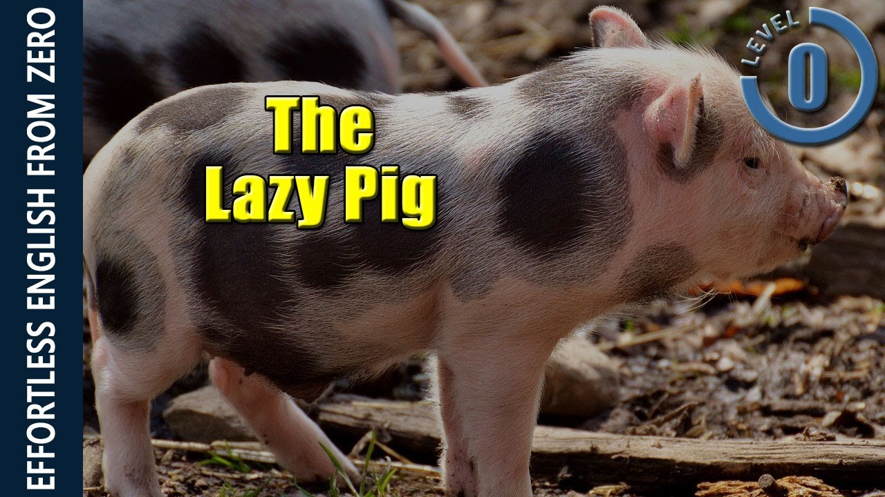 EFFORTLESS ENGLISH LESSON 1 - THE LAZY PIG (LEVEL 0) - YouTube