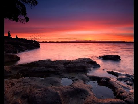 .ılı.2 hours .ılı. Peaceful & Relaxing Instrumental Music .ılı.Long Playlist .ılı.