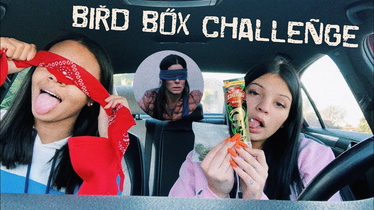 EXTREME BIRD BOX CHALLENGE | Rolling a blunt blindfolded - YouTube