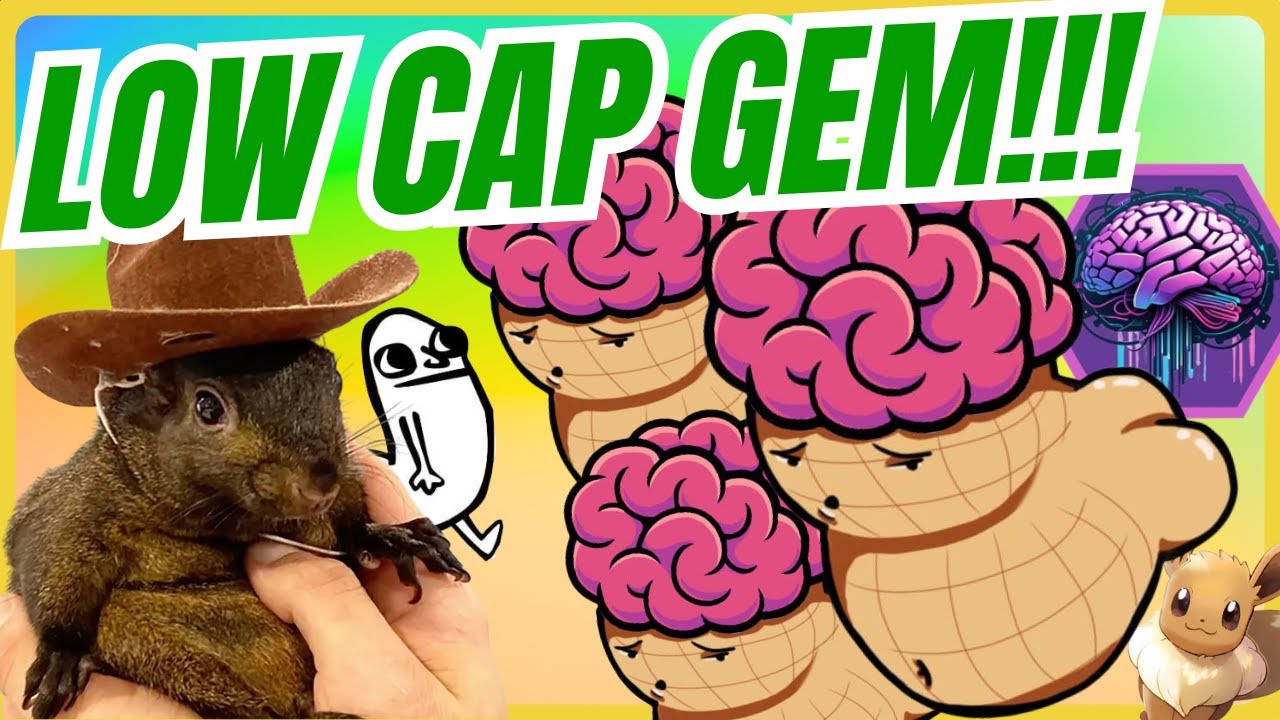 Peanut Brain!!! LOW CAP MEME COIN GEM!!! - YouTube