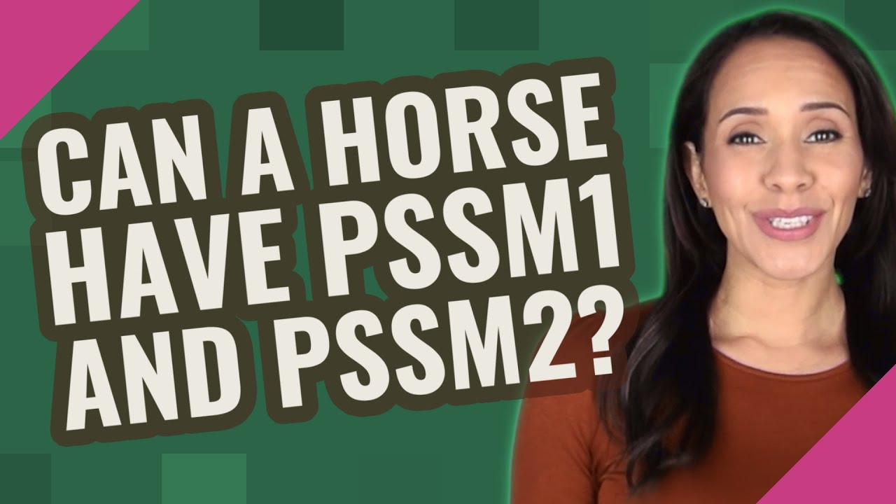 Can a horse have PSSM1 and PSSM2? - YouTube