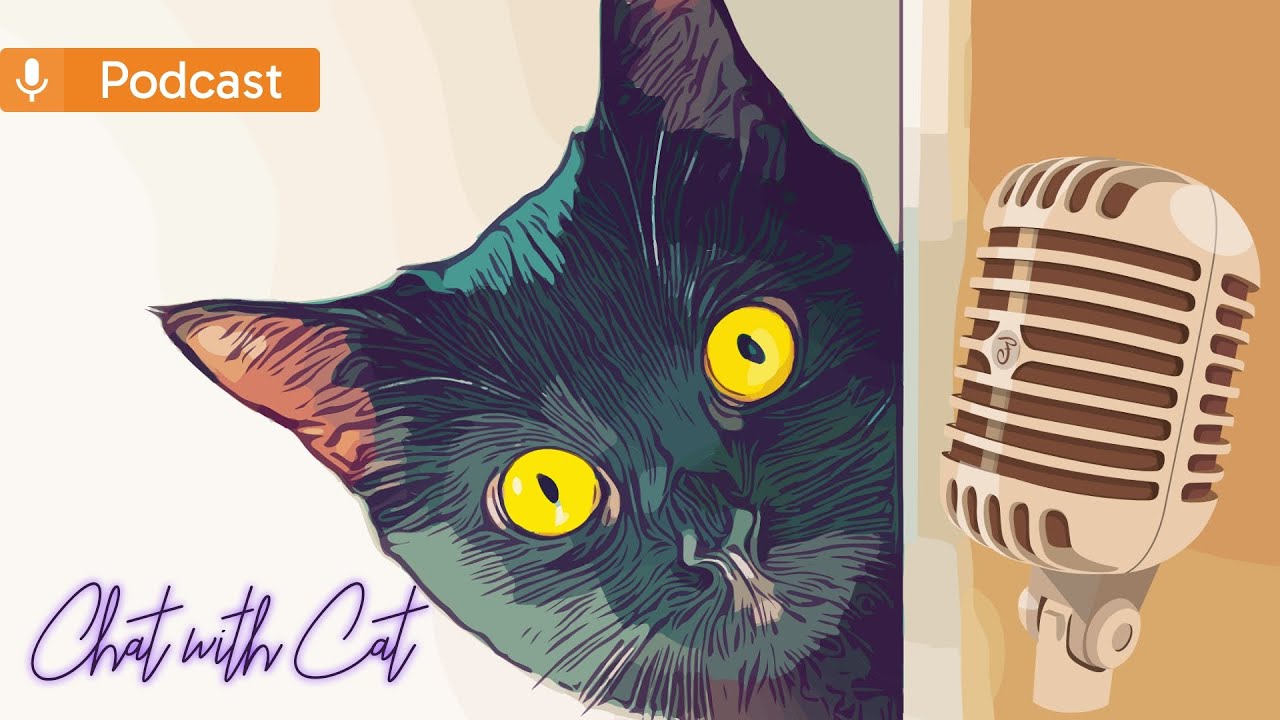 Chat with Cat - YouTube Music