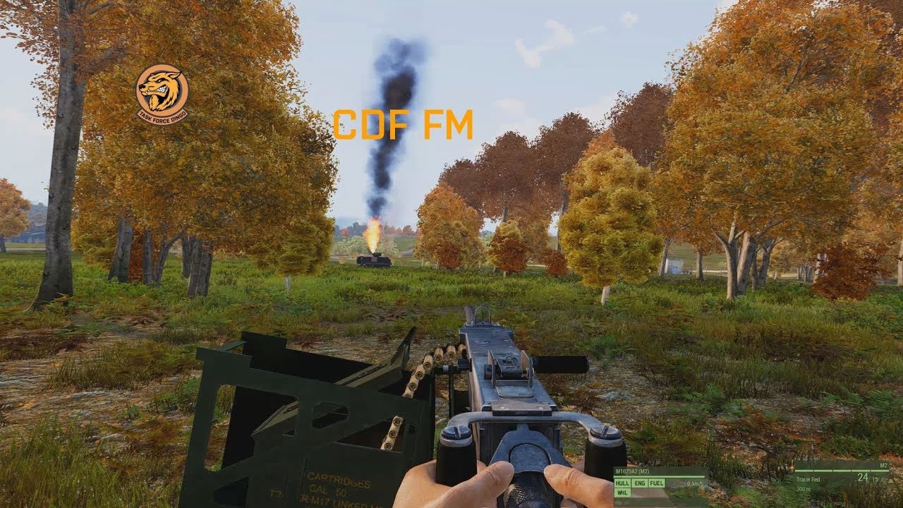 Arma 3 - CDF FM with Task Force Dingo - YouTube
