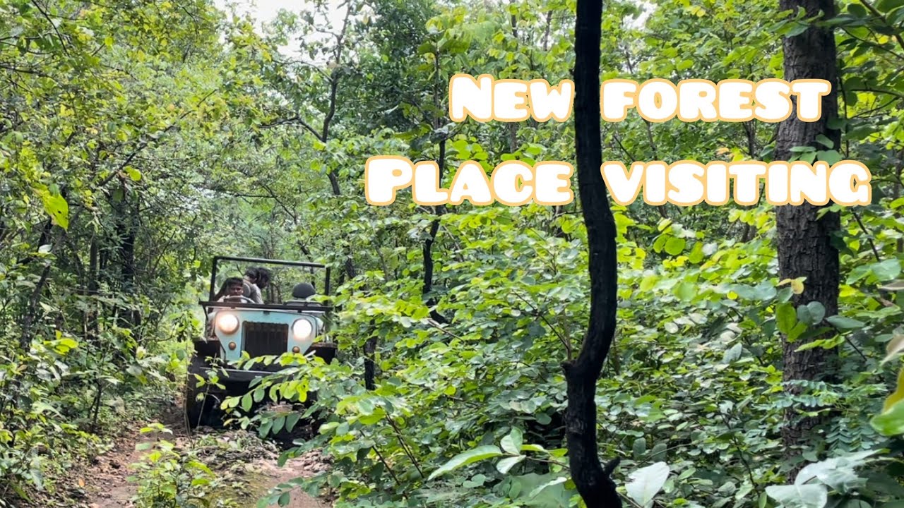 Visiting a new forest place vlog - YouTube