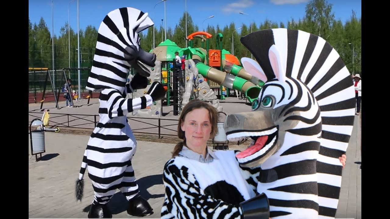 Zebra mascot costume dancing - YouTube