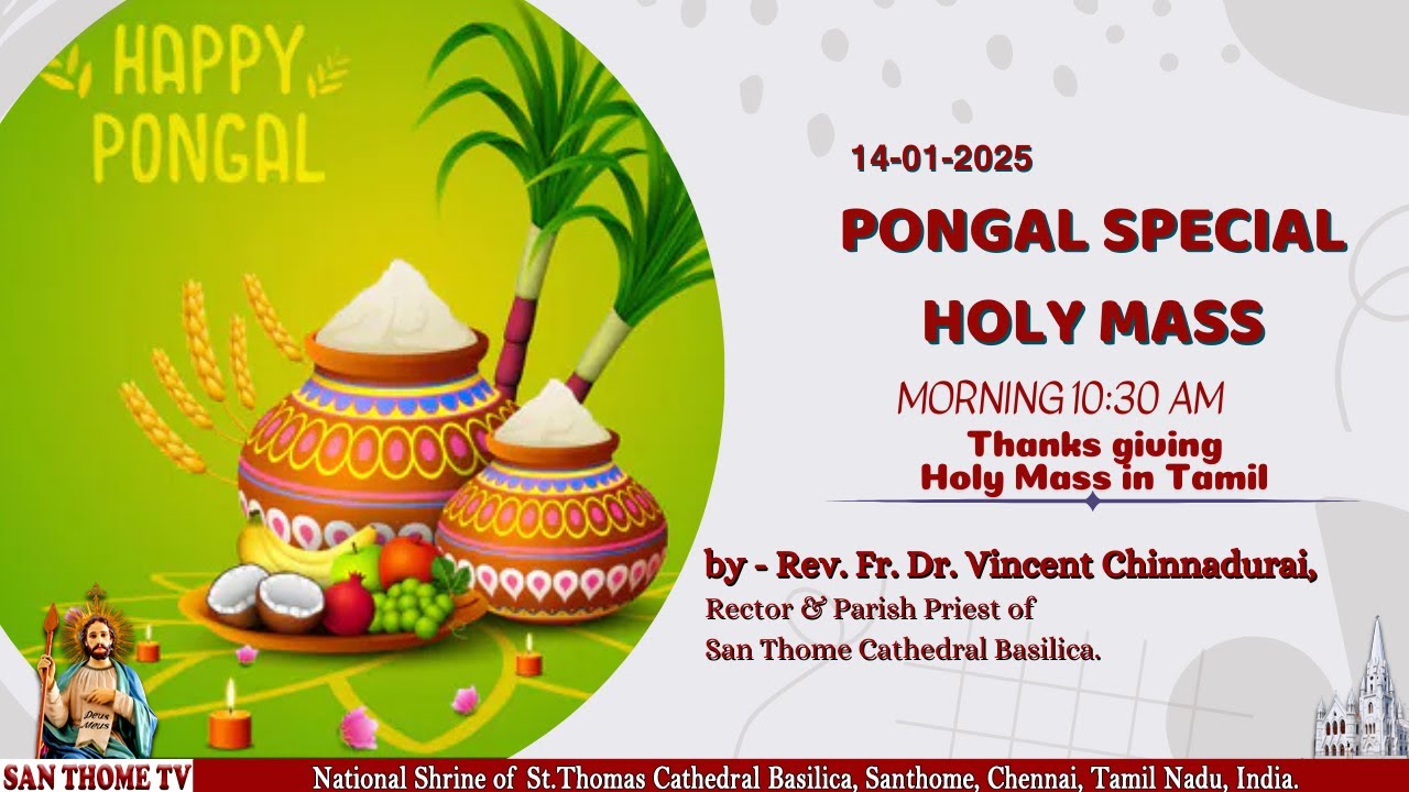 🔴🅻🅸🆅🅴 | #|pongal Special | Holy Mass from Shrine Basilica in Tamil(14-01-25 @ 10:30 AM) - YouTube