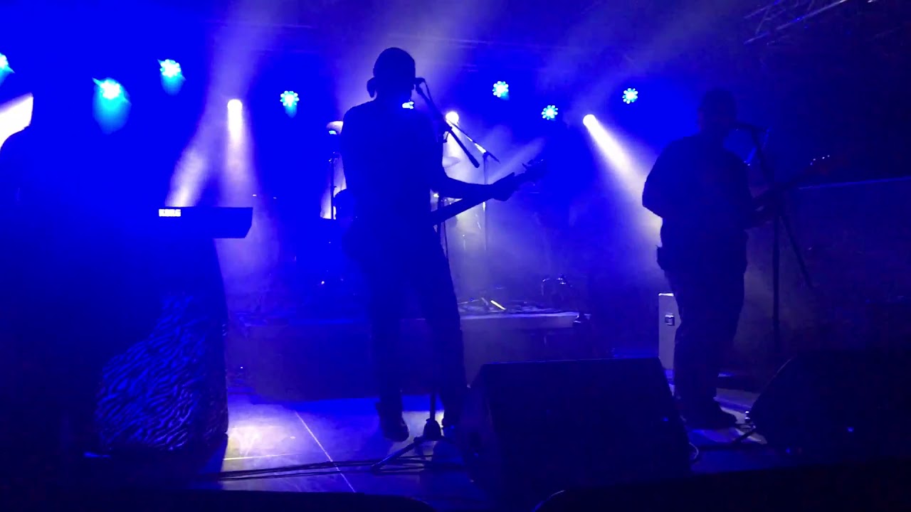 Feel Good Inc. (Reggae Cover) | Leopard Skin Zebras - YouTube