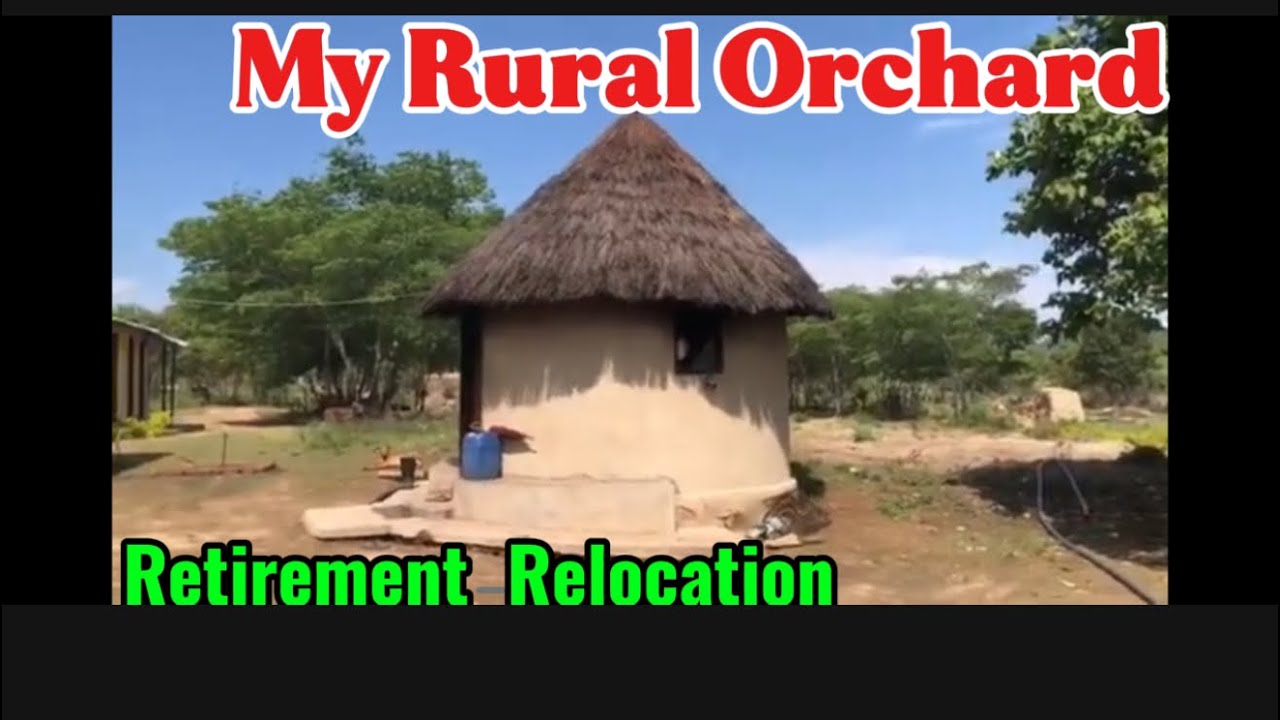 #11: Relocating From The UK To Zimbabwe. My Rural Orchard - YouTube