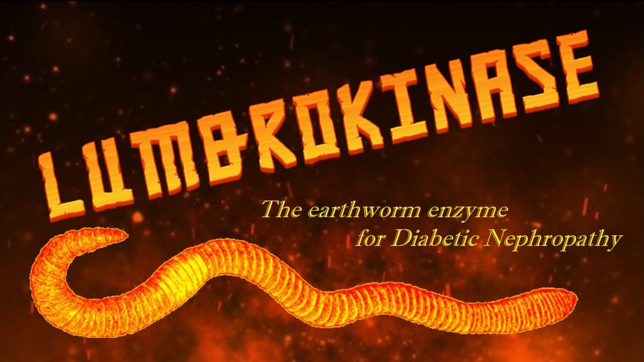 Lumbrokinase: The earthworm enzyme for Diabetic Nephropathy - YouTube