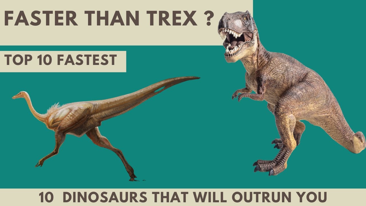 Top 10 FASTEST Dinosaurs In History - YouTube