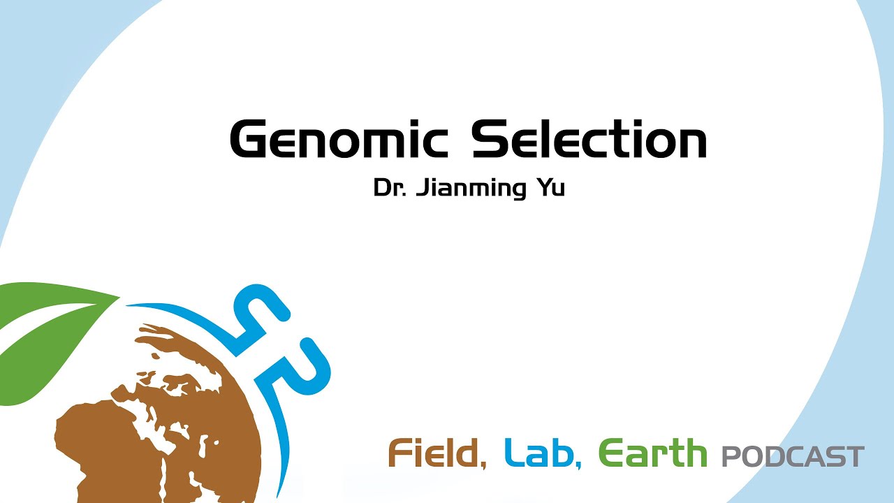 Genomic Selection with Dr. Jianming Yu | Field, Lab, Earth Podcast #134 ...