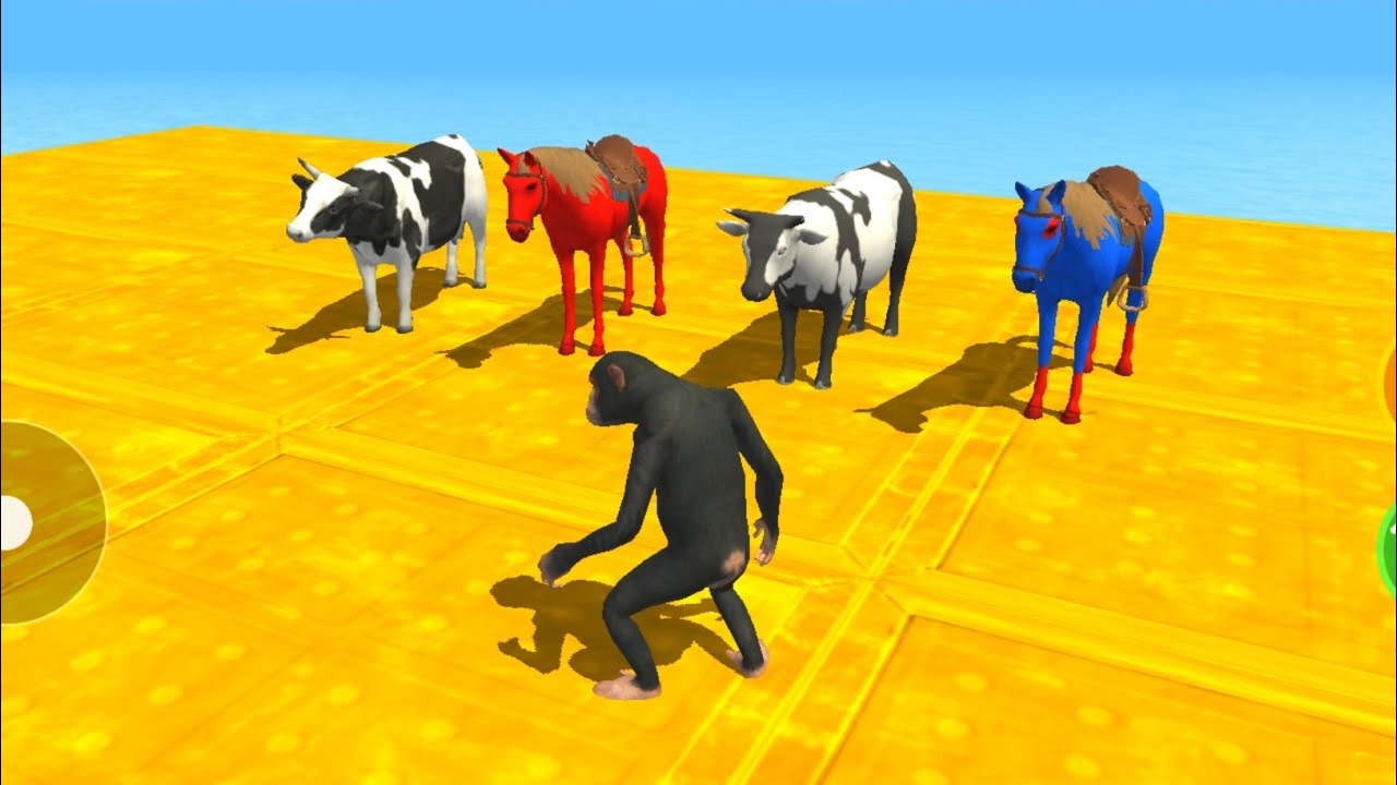 The Animal Race Cow VS Horse - Horse riding - YouTube