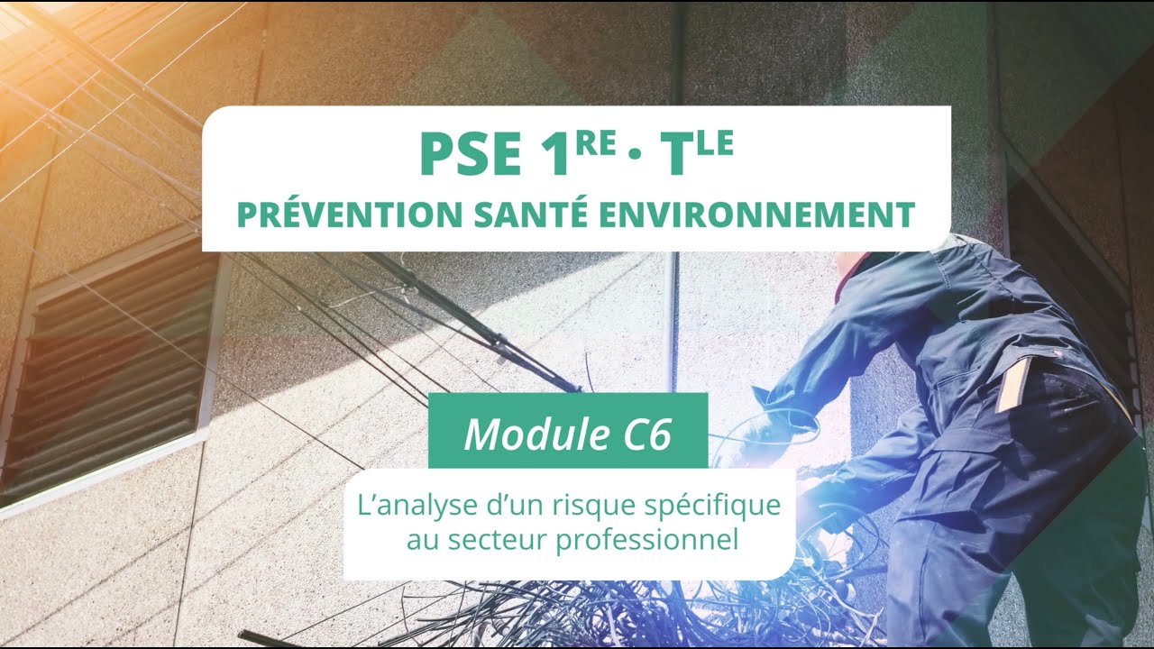 PSE module C6 : L'analyse d'un risque spécifique au secteur professionnel - YouTube