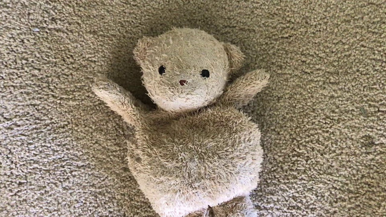 Nini bear - YouTube