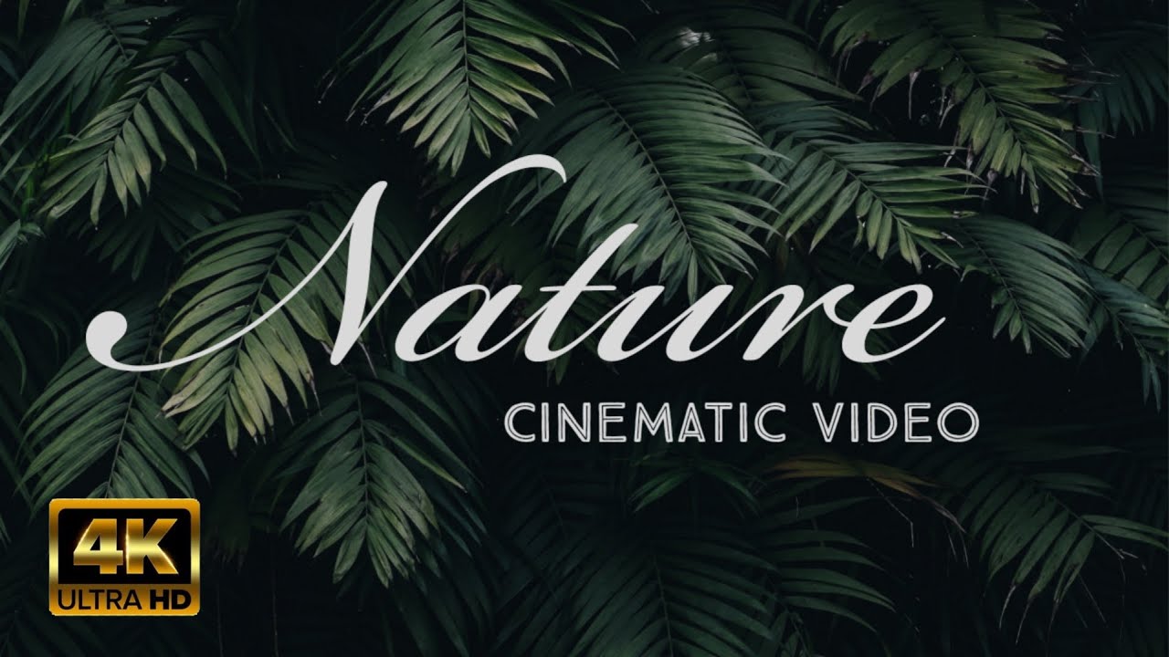 Nature Cinematic Video || 4k Video II Nature Video Editing || Premiere ...