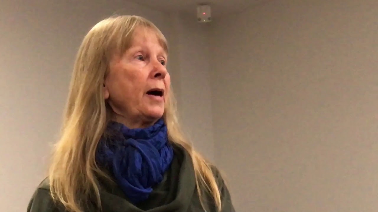 Jacqueline Freeman: Honeybee Wisdom Nov 7, 2017 excerpt of talk - YouTube