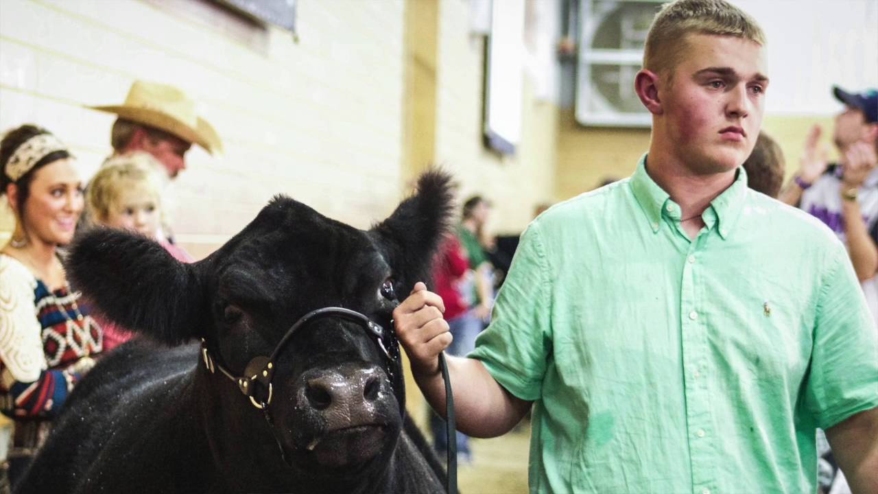 Gavin Mulder: Reserve Champion Market Beef - YouTube