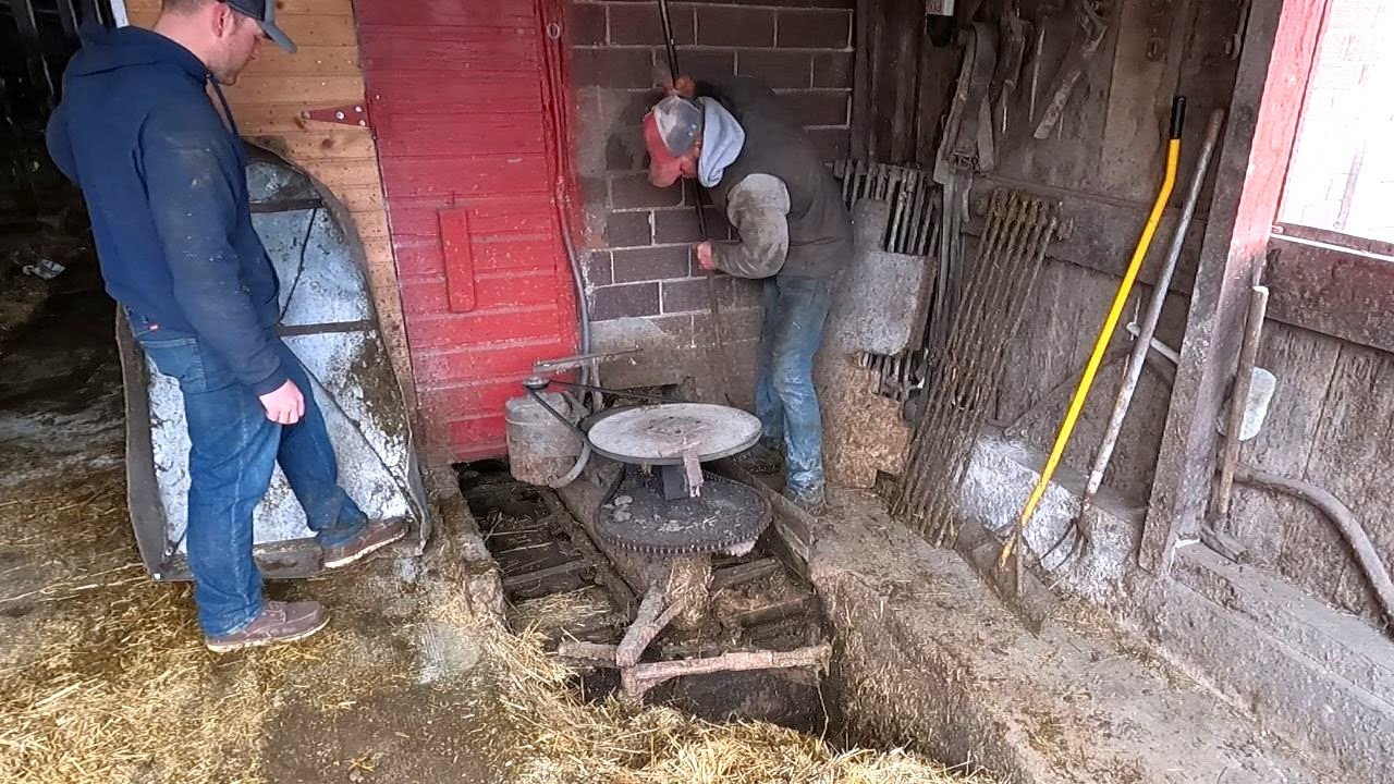 Trouble in The Dairy Barn! Barn Cleaner Breakdown! - YouTube