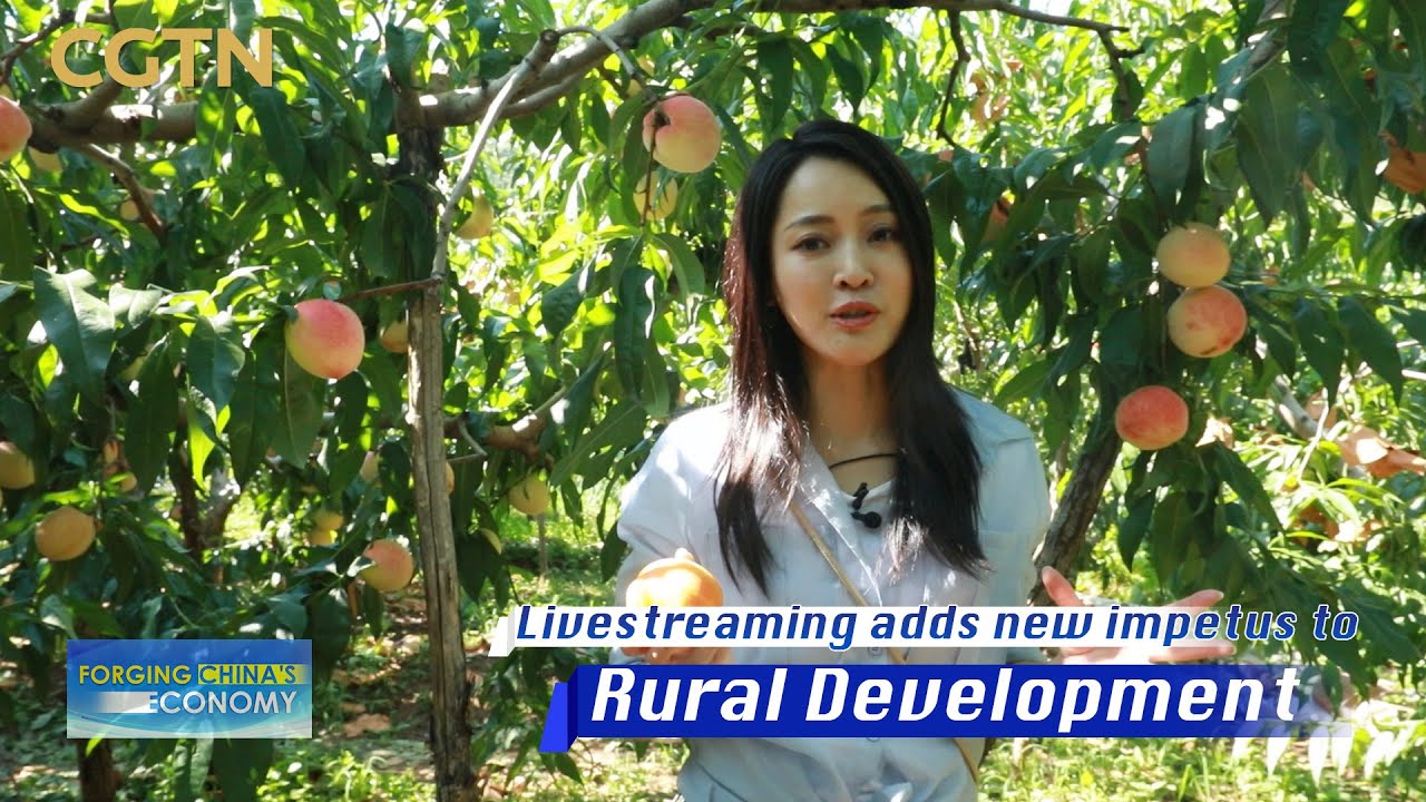 Livestreaming adds new impetus to rural development - YouTube