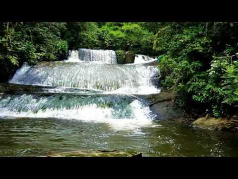 Central Suriname Nature Reserve #14 Top Experiences in South America ...
