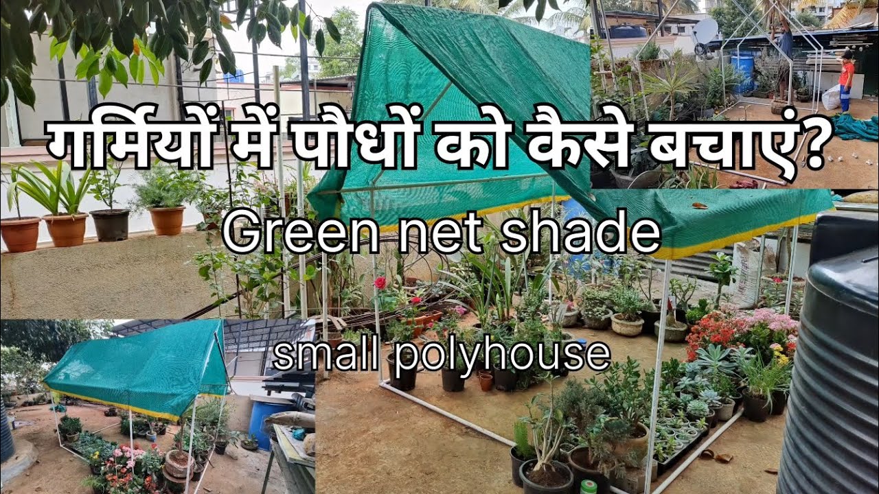 गर्मियों में पौधों को कैसे बचाएं? l small polyhouse l Green net shade ...