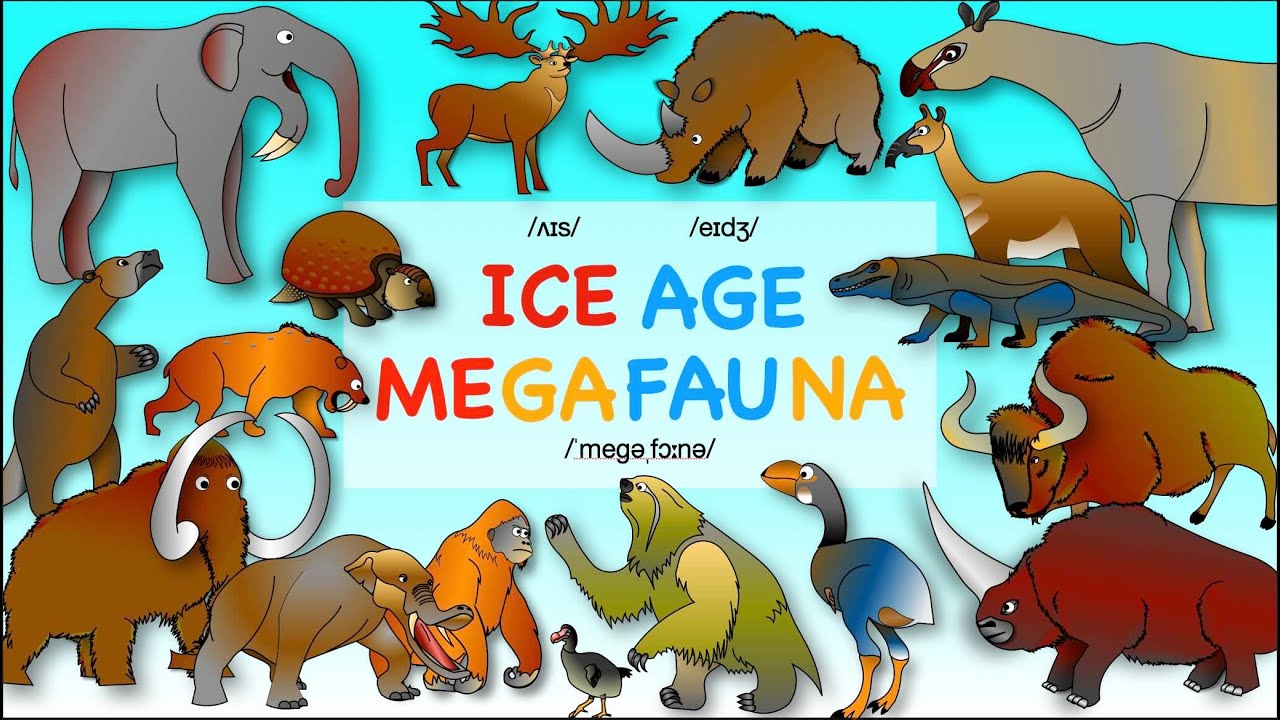 Megafauna Animals Name in English - YouTube