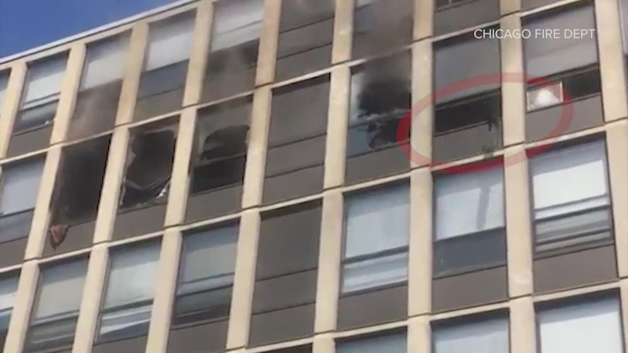 Cat jumps from burning building, walks away - YouTube