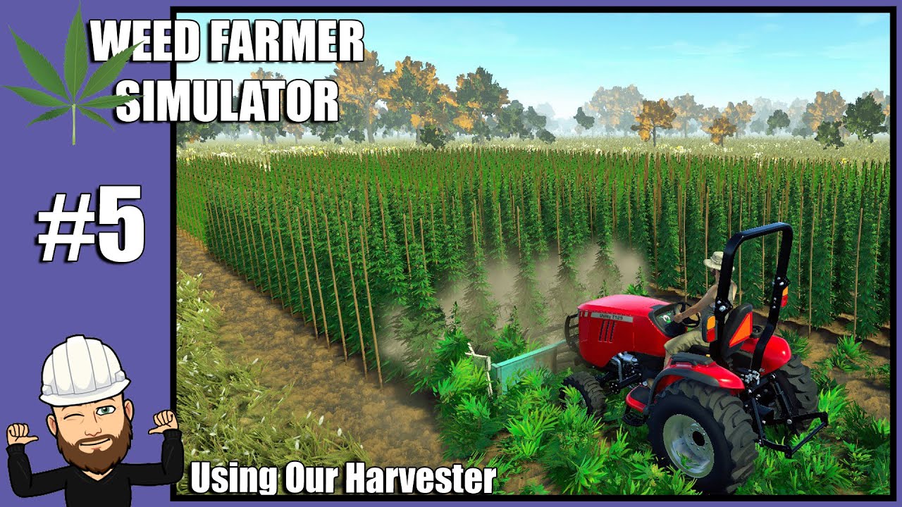Weed Farmer Simulator #5 - Using Our Harvester - YouTube
