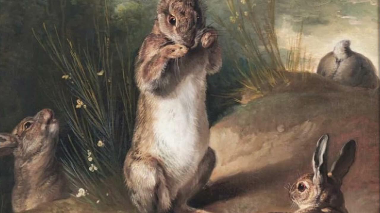 'Watership Down', Chapter 10: The Road and the Common - YouTube