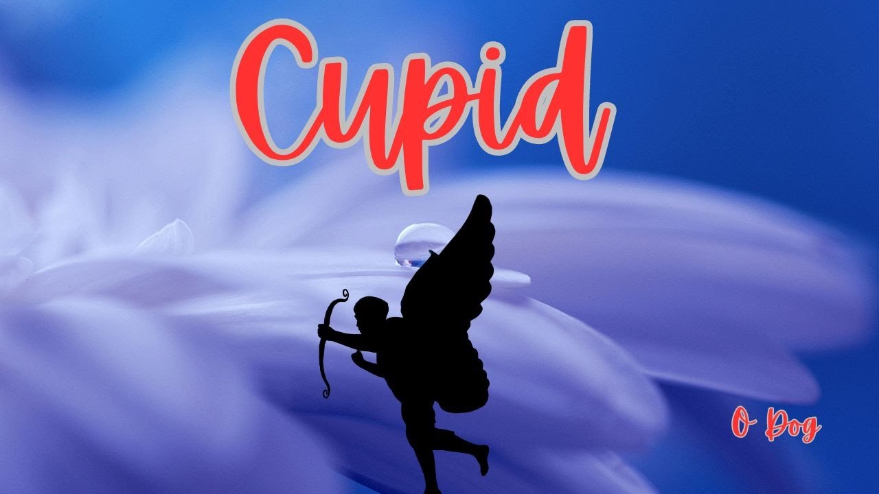 Cupid - YouTube