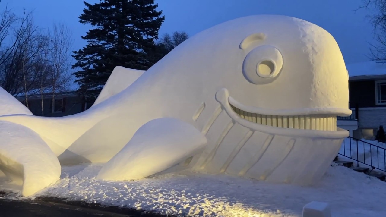 Bartz Snow Sculptures: Giant Snow Whale - YouTube