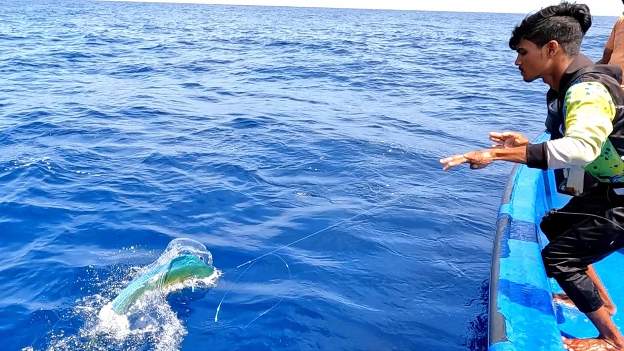 Catching Rainbow Runner Fish & Mahi Mahi Fish in the Deep Sea - YouTube