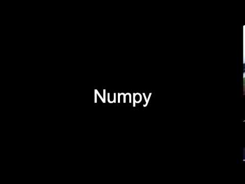 Numpy pronunciation english Numpy definition english - YouTube
