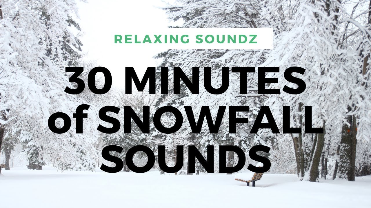 30 MINUTES of SNOWFALL SOUNDS | WHITE NOISE for Relaxation/ Sleep - YouTube